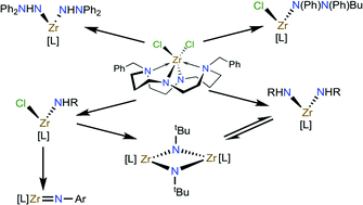 Synthesis and structural studies of amido, hydrazido and imido ...