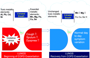Metallic elements in exhaled breath condensate and serum of patients ...
