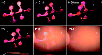 Non-linear optical polymers for photorefractive applications - Journal of Materials Chemistry ...