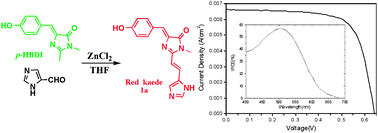 Fluorescent protein red Kaede chromophore; one-step, high-yield ...