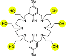The first binucleating amino-thiophenolate macrocycles with pendant ...