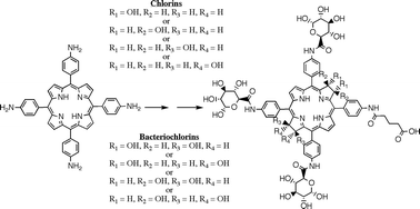 High-yielding syntheses of hydrophilic conjugatable chlorins and bacteriochlorins - Organic ...