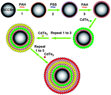 Colloidal crystal beads coated with multicolor CdTe quantum dots ...