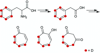 Identification and biosynthesis of tropone derivatives and sulfur ...