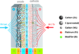 Understanding underlying processes in formic acid fuel cells - Physical ...