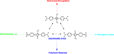 Squaraine dyes in molecular recognition and self-assembly - Chemical ...
