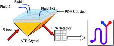Chemical imaging of microfluidic flows using ATR-FTIR spectroscopy - Lab on a Chip (RSC Publishing)