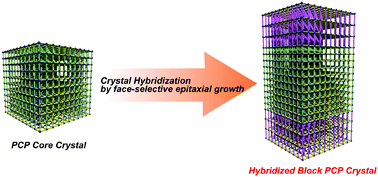 A block PCP crystal: anisotropic hybridization of porous coordination ...