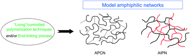 Expanding the role of chemistry to produce new amphiphilic polymer (co ...
