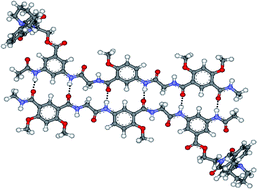 A sextuple hydrogen bonding molecular duplex bearing 1,8-naphthalimide ...