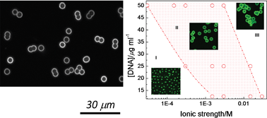 Electrostatically tuned DNA adsorption on like-charged colloids and ...