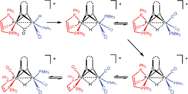 Isomerization of the hydride complexes [HFe2(SR)2(PR3)x(CO)6−x]+ (x = 2 ...