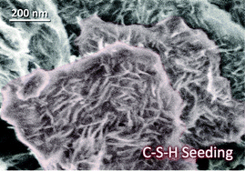 Hydration of tricalcium silicate in the presence of synthetic calcium ...