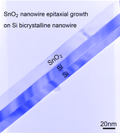 New nanowire heterostructures: SnO2 nanowires epitaxial growth on Si ...