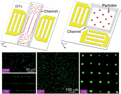 Acoustic tweezers: patterning cells and microparticles using standing ...