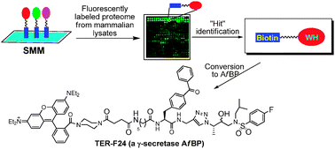 Small molecule microarray-facilitated screening of affinity-based ...