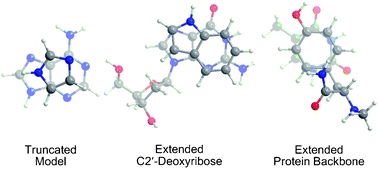 Effects of the biological backbone on DNA–protein stacking interactions ...