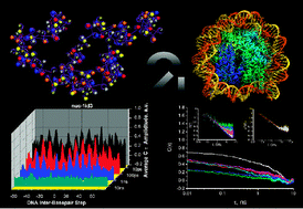 Relaxation dynamics of nucleosomal DNA - Physical Chemistry Chemical ...