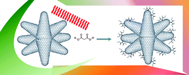 Solvent-free microwave-assisted Bingel reaction in carbon nanohorns ...