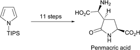 From N-triisopropylsilylpyrrole to an optically active C-4 substituted ...
