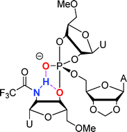 Phosphorane intermediate vs. leaving group stabilization by ...