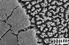 Preparation of lotus-leaf-like polystyrene micro- and nanostructure ...