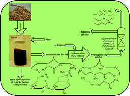 Production of hydrogen, alkanes and polyols by aqueous phase processing ...