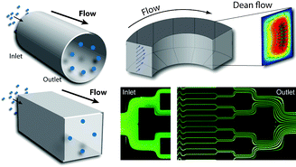 Inertial microfluidics - Lab on a Chip (RSC Publishing)