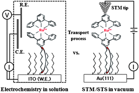 Electron transport processes in on/off states of a single alkyl-tailed ...