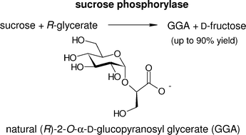 Single-step enzymatic synthesis of (R)-2-O-α-d-glucopyranosyl glycerate ...