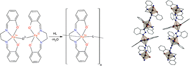 Novel 1D chain Fe(III)-salen-like complexes involving anionic ...