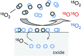 A novel pulse isotopic exchange technique for rapid determination of ...