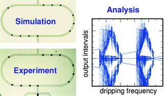 Dynamic memory in a microfluidic system of droplets traveling through a ...