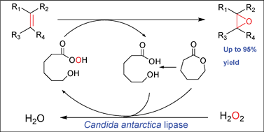 Efficient epoxidation of alkenes with hydrogen peroxide, lactone, and ...