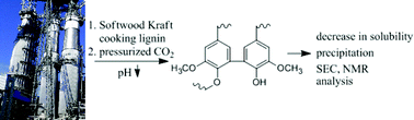 Characterization of CO2 precipitated Kraft lignin to promote its ...
