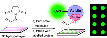3D small-molecule microarrays - Chemical Communications (RSC Publishing)