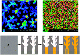 Controlled growth of novel hyper-branched nanostructures in nanoporous ...
