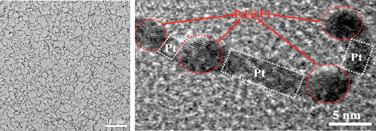 Single-phase aqueous approach toward Pd sub-10 nm nanocubes and Pd–Pt ...