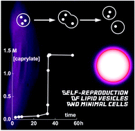 Achievements and open questions in the self-reproduction of vesicles ...