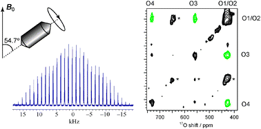 Solid-state NMR spectroscopy - Physical Chemistry Chemical Physics (RSC ...