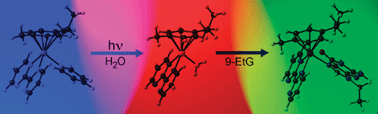Photocontrolled nucleobase binding to an organometallic RuII arene ...