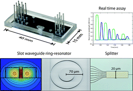 A packaged optical slot-waveguide ring resonator sensor array for ...