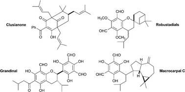 Phloroglucinol compounds of natural origin: Synthetic aspects - Natural ...