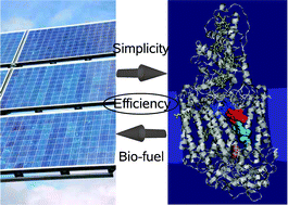 The detailed balance limit of photochemical energy conversion ...
