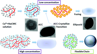 Submicronic calcite particles with controlled morphology tailored by ...