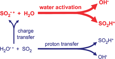 Water activation by SO2˙+ ions: an effective source of OH˙ radicals ...