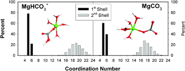 Structure and dynamics of the hydrated magnesium ion and of the ...
