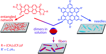 Phase separation and affinity between a fluorinated perylene diimide ...