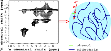 Phenol–polymer proximity in a thermoresponsive gel determined by solid ...