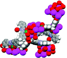 Vanadium complexes having [VIVO]2+ and [VVO2]+ cores with binucleating ...